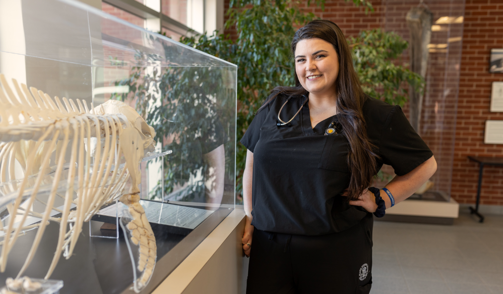 Celebrating success: A journey through the Atlantic Veterinary College ...