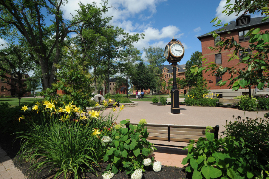 UPEI to re-launch office of professional development for 2020 ...