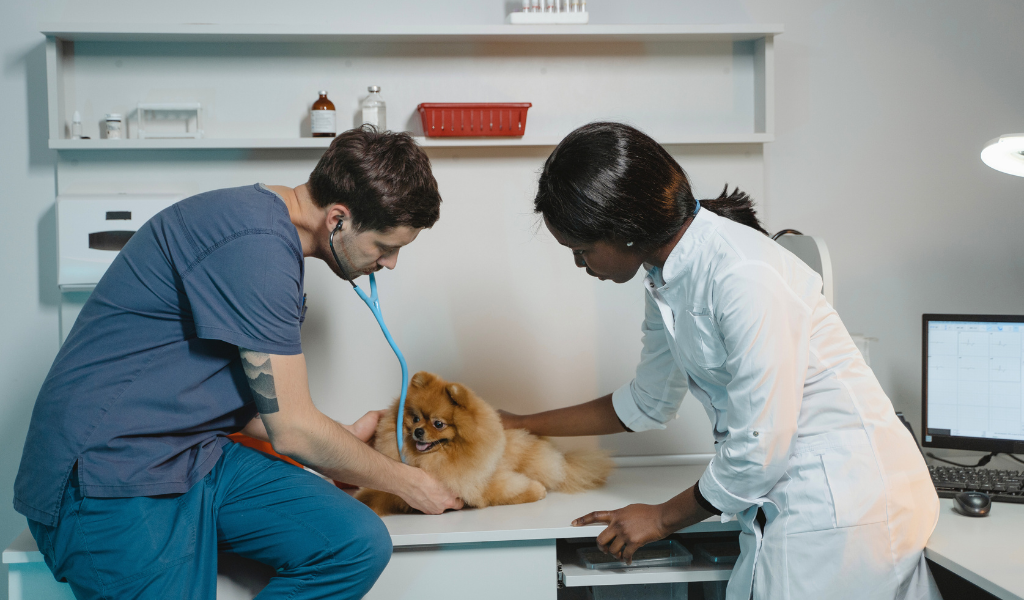 Atlantic Veterinary College and P3 Veterinary Partners announce a ...