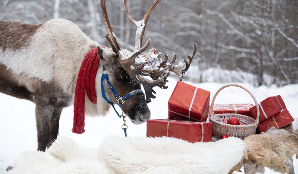 Atlantic Veterinary College clears Santa’s reindeer to fly | UPEI