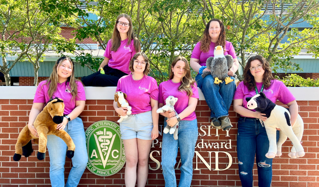 2024 Dr. Tim Ogilvie AVC Vet Camp begins! | University of Prince Edward ...