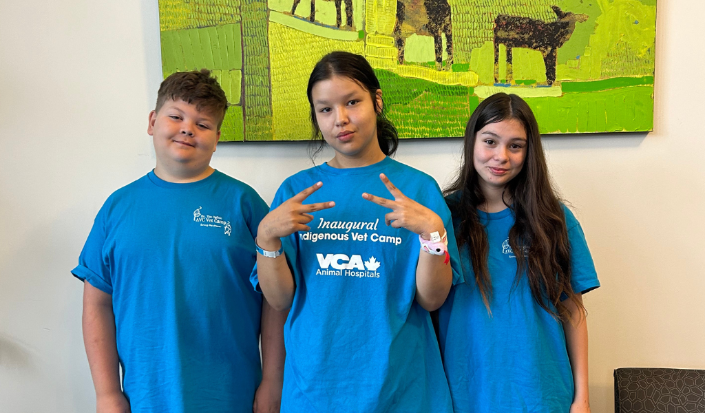 Atlantic Veterinary College’s first Indigenous Vet Camp pilot project a ...