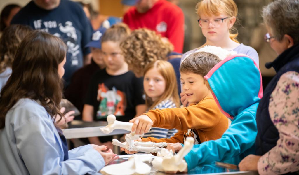 AVC Open House draws 1,500 visitors for a fun-filled day of learning ...