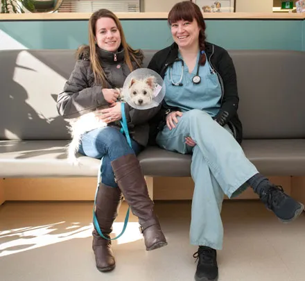 Atlantic Veterinary College | University of Prince Edward Island